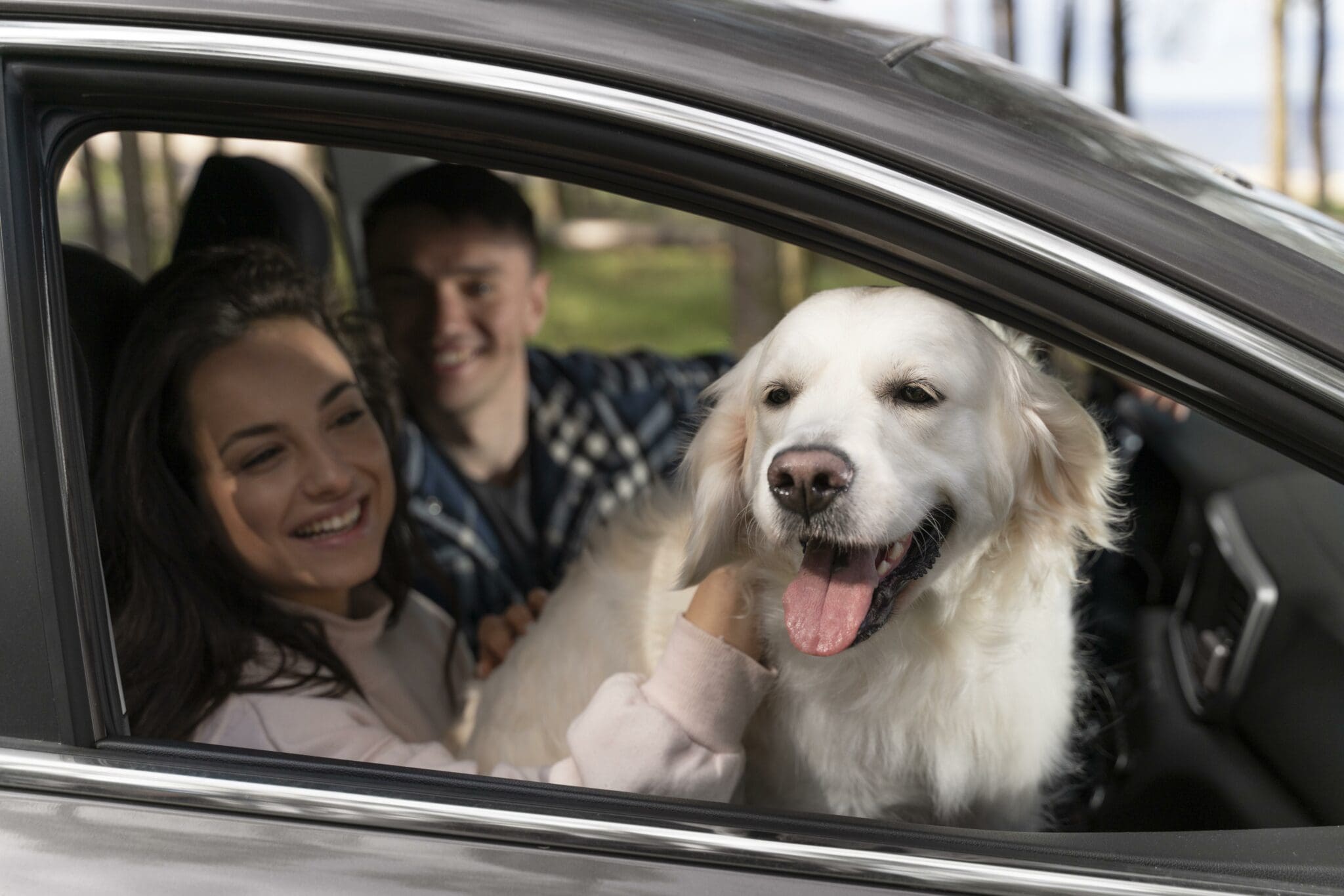 6 Super Senses That Prove Dogs Are More Than Just Pets