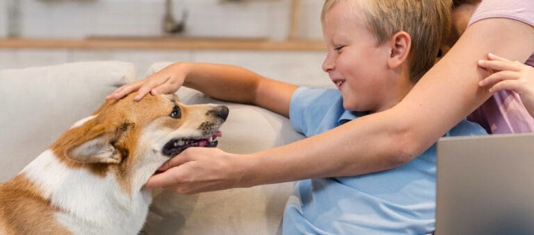 6 Super Senses That Prove Dogs Are More Than Just Pets